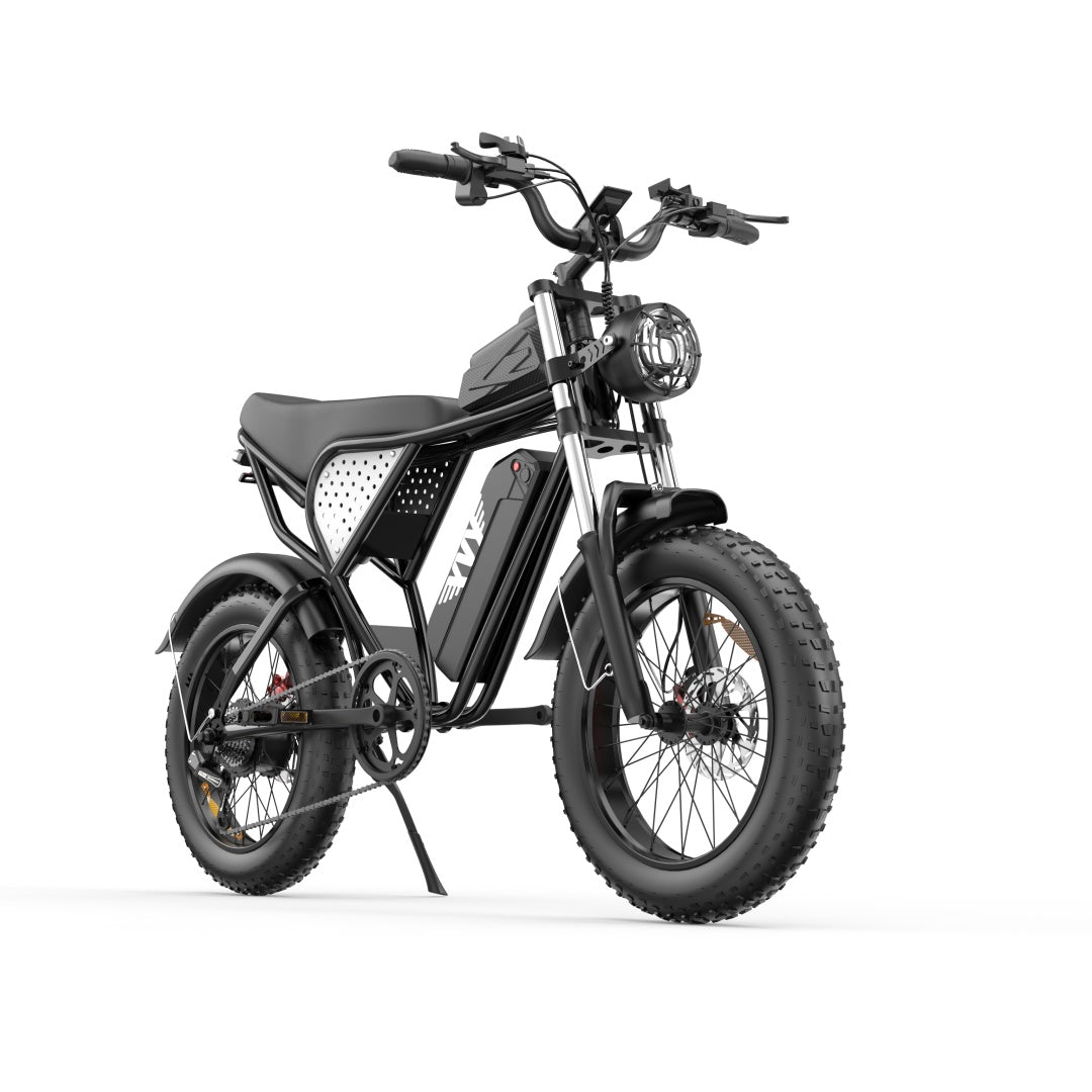 YVY C20(Q20) 20" Fat Tires Electric Bike 750W Motor 48V 20Ah Battery ...